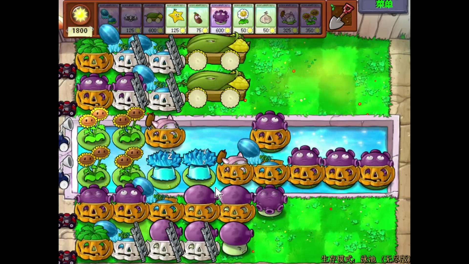 【21套阵型】植物大战僵尸无尽模式阵型提供！_哔哩哔哩_bilibili