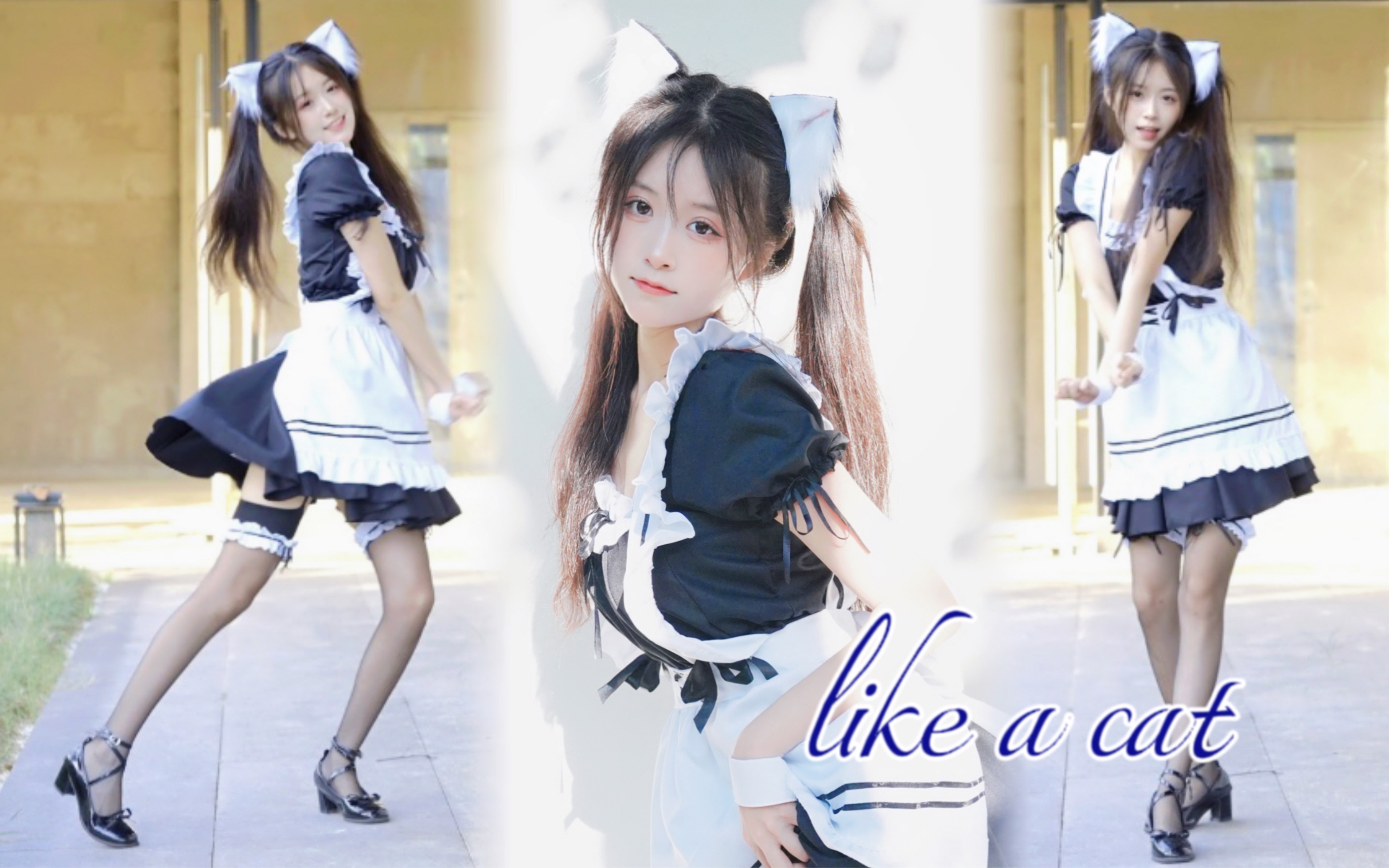 甜 猫 辣 舞！⚠️全网最可爱der猫步轻悄！-Risy北极兔-Risy北极兔-哔哩哔哩视频