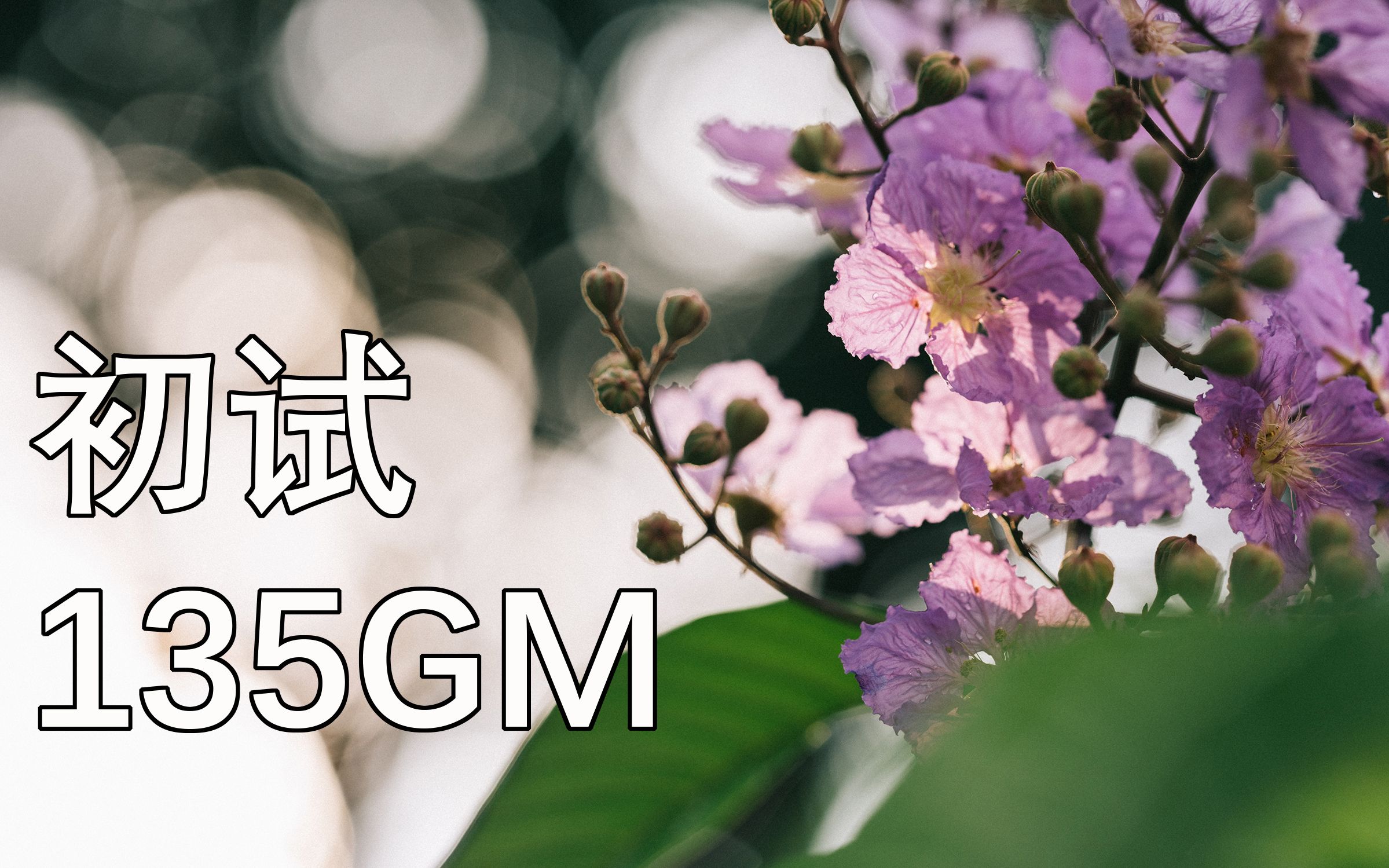 初试索尼135GM_哔哩哔哩_bilibili