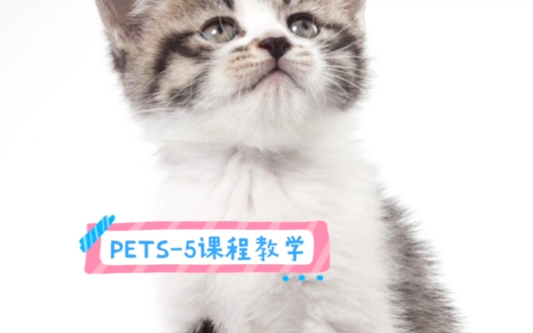 PETS-5公共英语五级 课时3：听力 part A 真题实战1_哔哩哔哩 (゜-゜)つロ 干杯~-bilibili