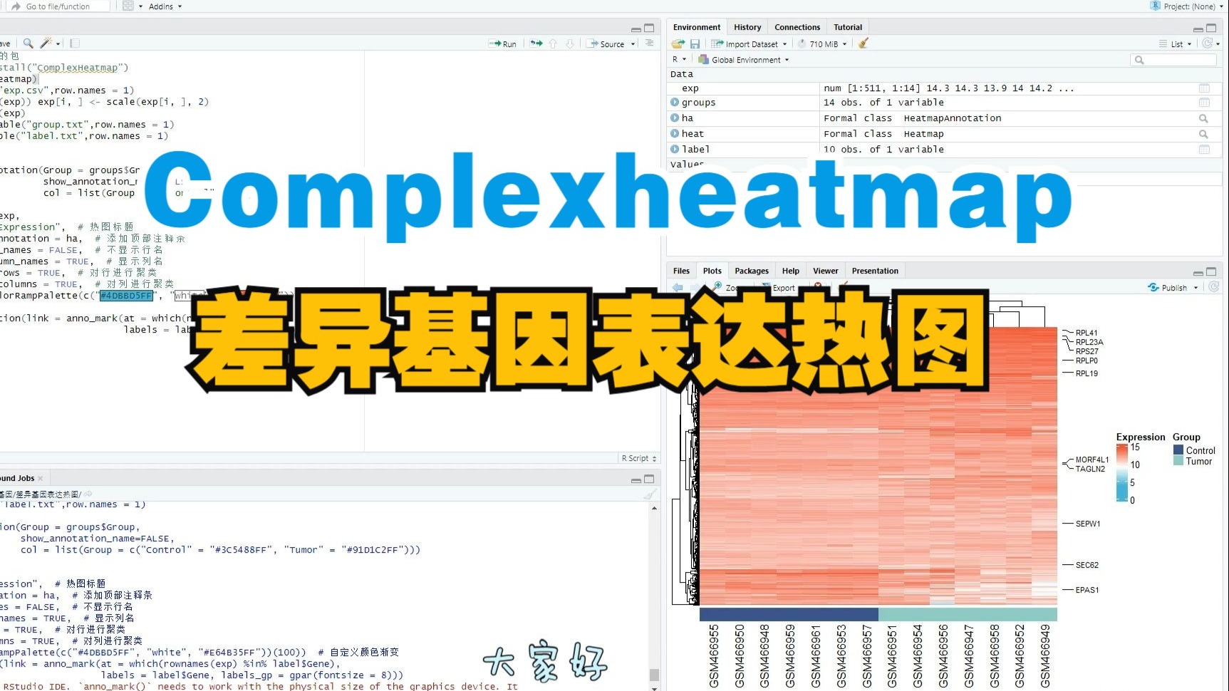 Complexheatmap 差异基因表达热图的绘制-Bioinfo探险家-Bioinfo探险家-哔哩哔哩视频