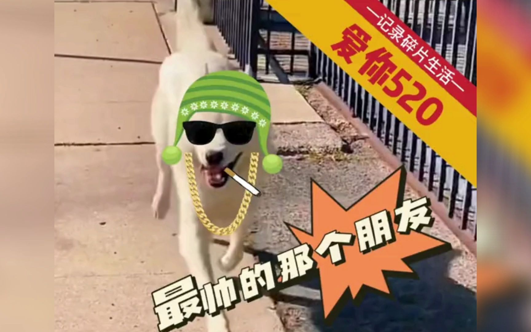 哟~giegie你竟然不回我信息？-钮祜禄-安舒-钮祜禄-安舒-哔哩哔哩视频