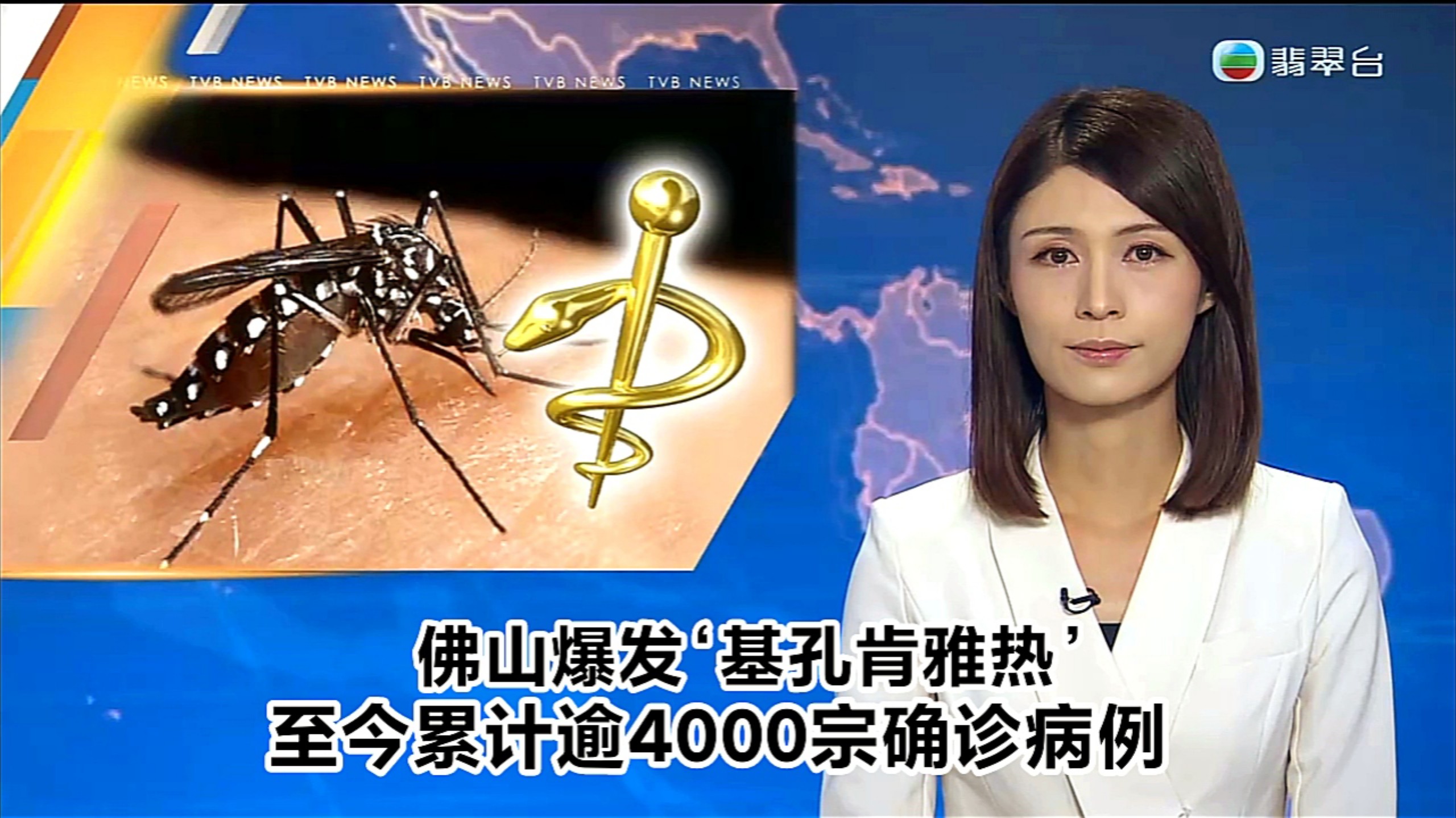 【TVB翡翠台】六点半新闻:佛山爆发‘基孔肯雅热’至今累计逾4000宗确诊病例-容瑞兴-容瑞兴-哔哩哔哩视频