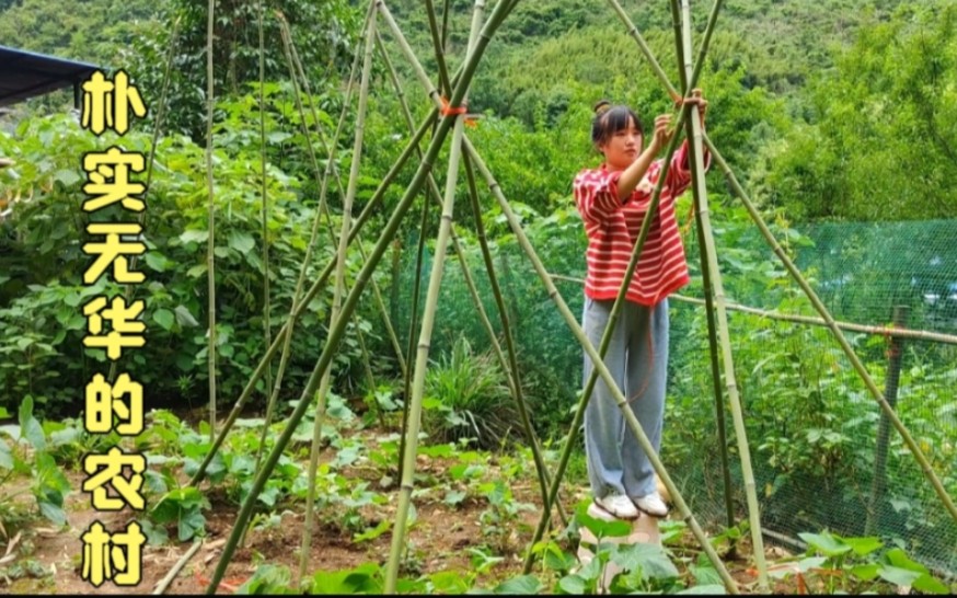 瓜苗生长缠藤到结果,人活着亦是如此,做自己喜欢的事,开心就好 小梅vlog 小梅vlog 哔哩哔哩视频