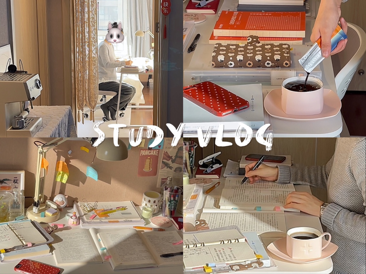 STUDY VLOG｜周末纯动力学习·沉浸式刷题·高浓度学习·studywithme-考拉ccccc-考拉ccccc-哔哩哔哩视频