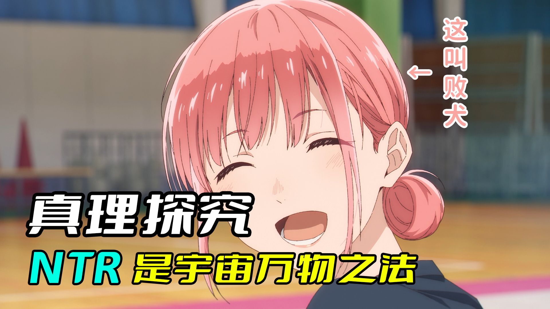 NTR是不存在的？纯爱也是一种牛？深度解析NTR的存在合理性！-冷风菌SaMu-冷风菌SaMu-哔哩哔哩视频