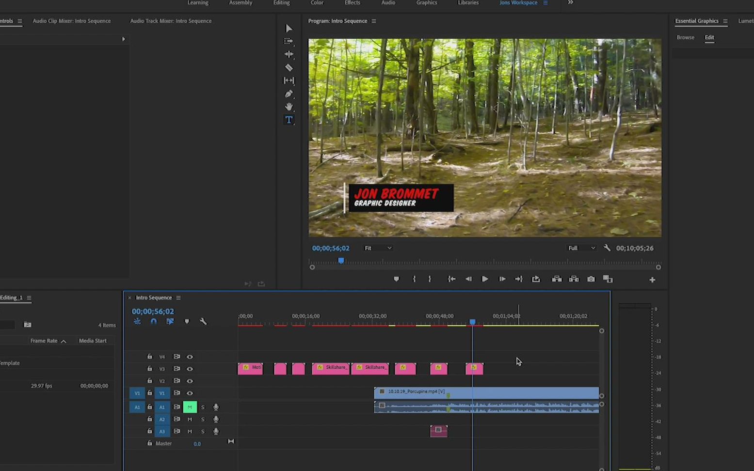【PR】Premiere Pro标题MG动画实例制作教程(中英双字)_哔哩哔哩_bilibili