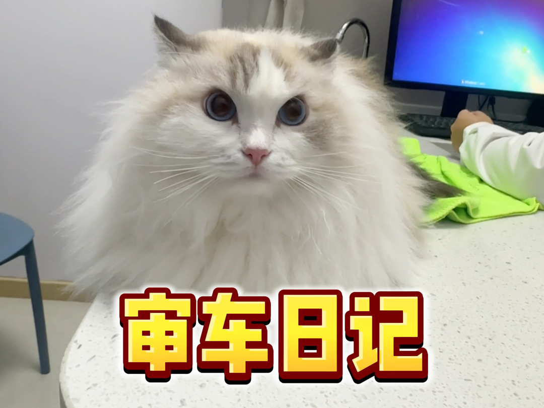 这下都知道女网红不爱刷牙了！-keai草-keai草-哔哩哔哩视频