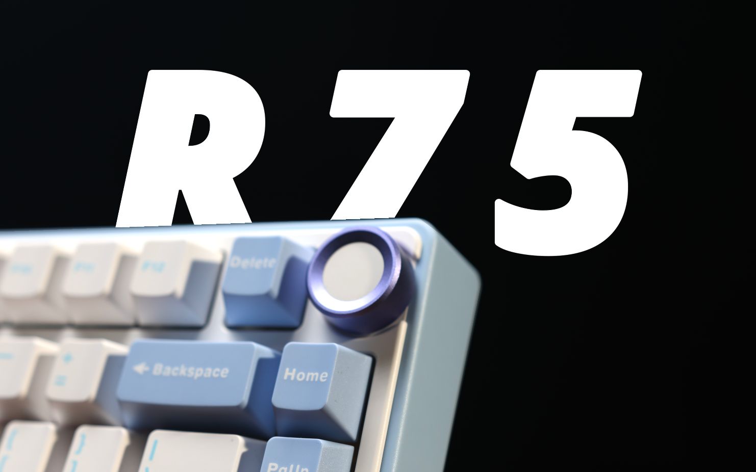 【买前必看！】RK R75？VGN N75？狼蛛F87？一些小细节～