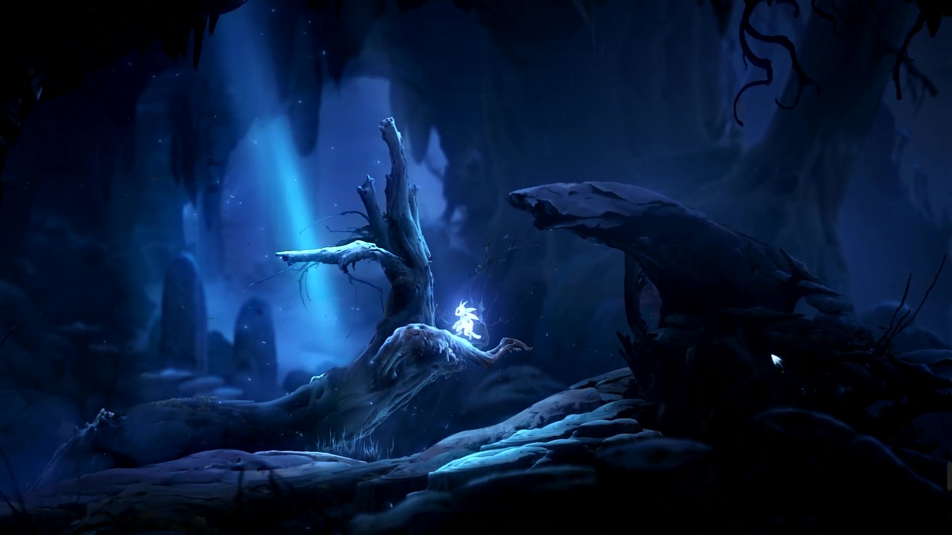 ori2全收集记录5_哔哩哔哩_bilibili