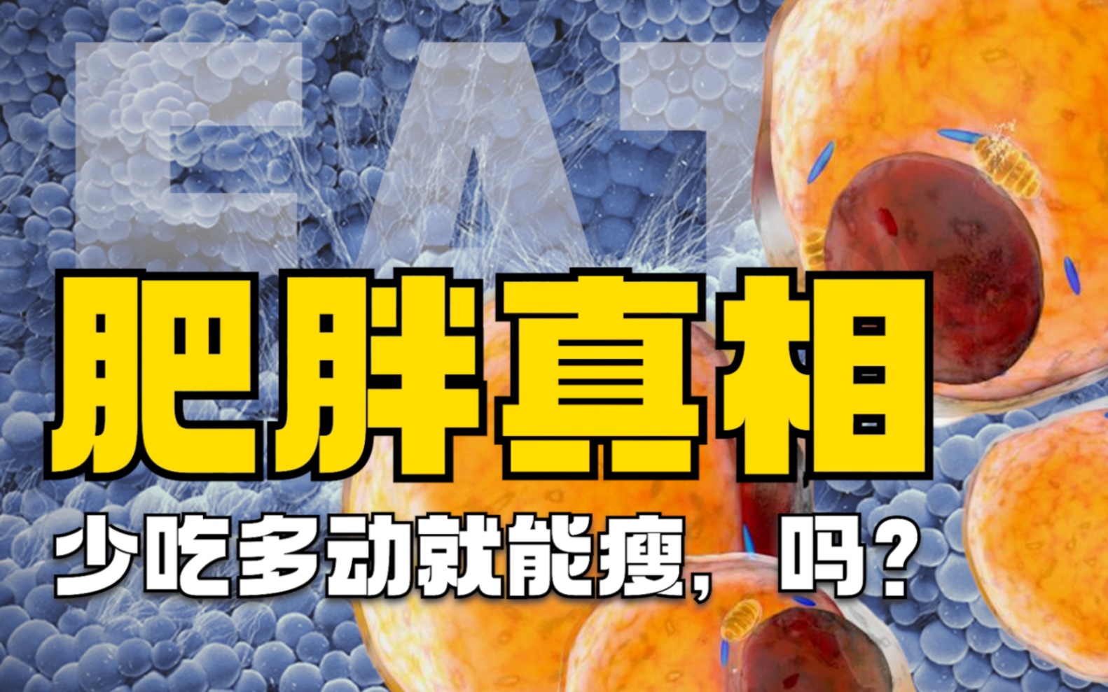 全球20亿人超重，肥胖的真相是什么？少吃多动就能瘦吗？ 医学边界 医学边界 哔哩哔哩视频