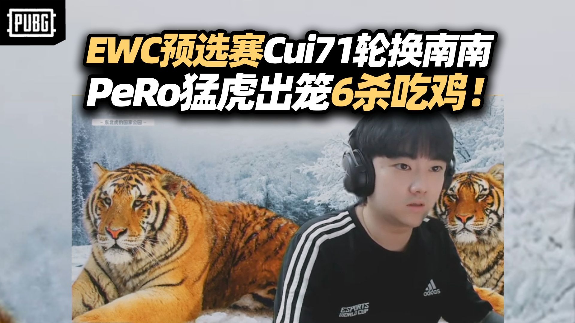 EWC预选赛PeRo吃鸡 南南轮换Cui71上场 超绝美颜吊睛白额大崔归来！-小叮当频道-小叮当频道-哔哩哔哩视频