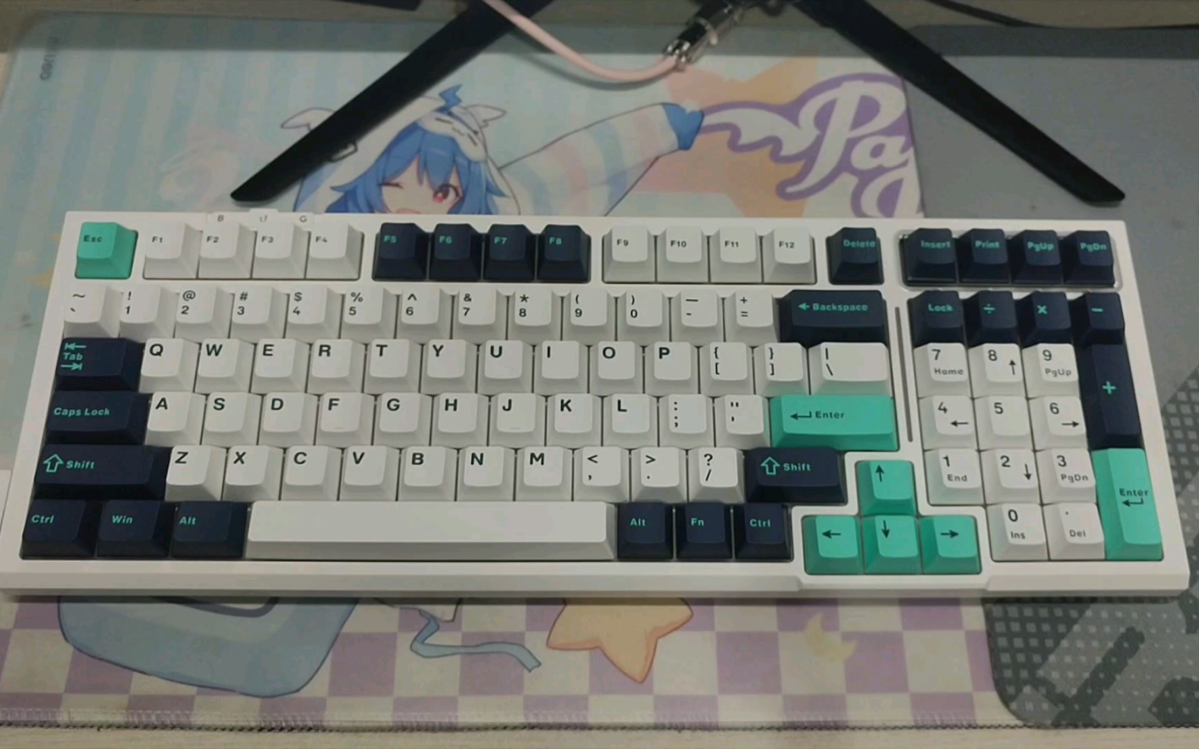 「开个箱先」RK R98 新品发布！超级软弹 声音巨棒！299起我吹爆！