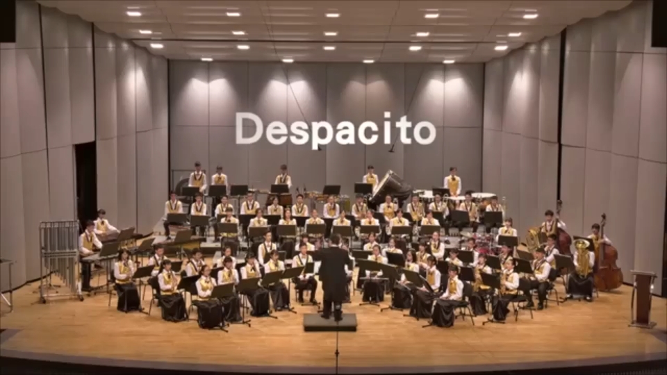 Despacito-管乐合奏_哔哩哔哩_bilibili