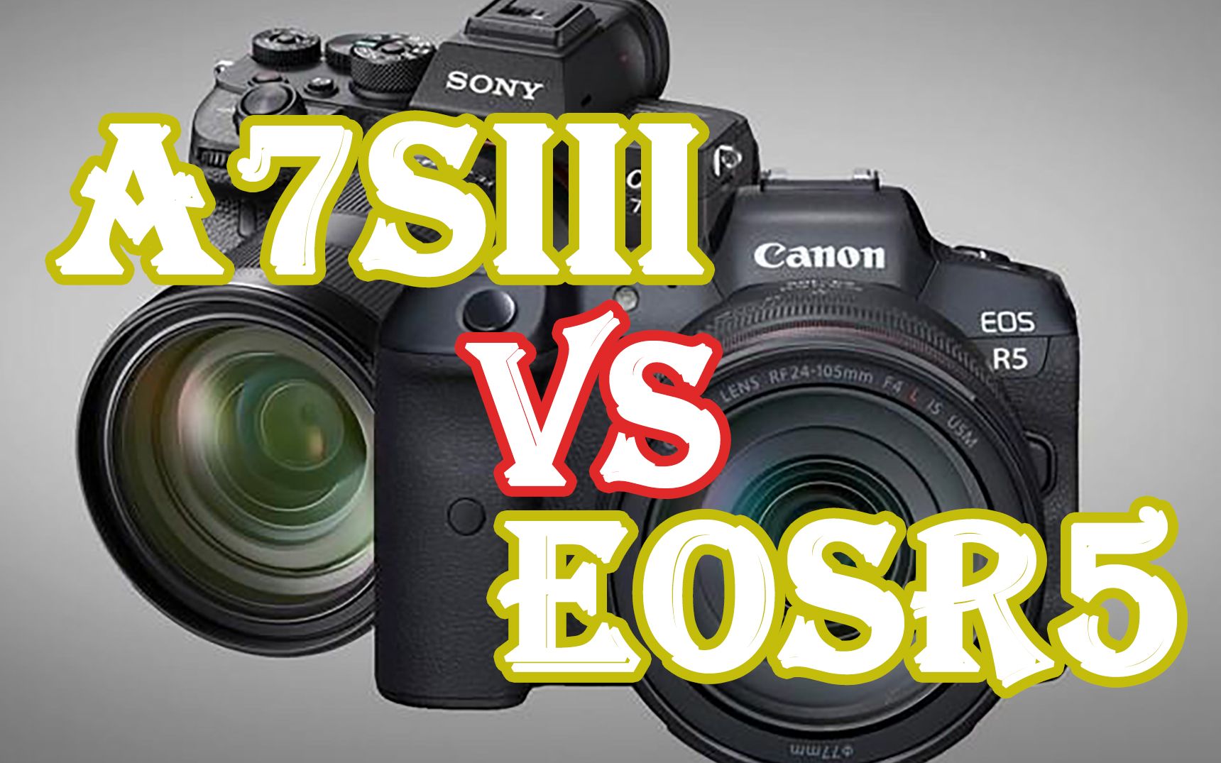 【不专业视角】索尼A7S3 对比 佳能EOS R5_哔哩哔哩_bilibili