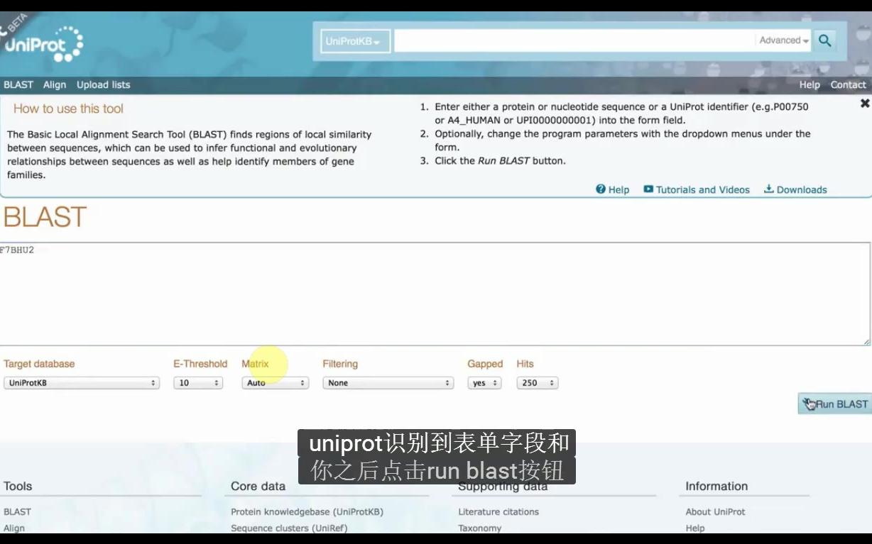蛋白质数据库uniprot Blast intro_哔哩哔哩_bilibili