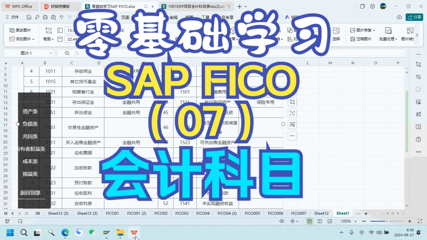 零基础学习SAP FICO 07会计科目 SAP FICO SAP S4 HANA SAP MM SAP PP SAP SD SAP ABAP-勿晓枫-sap-哔哩哔哩视频