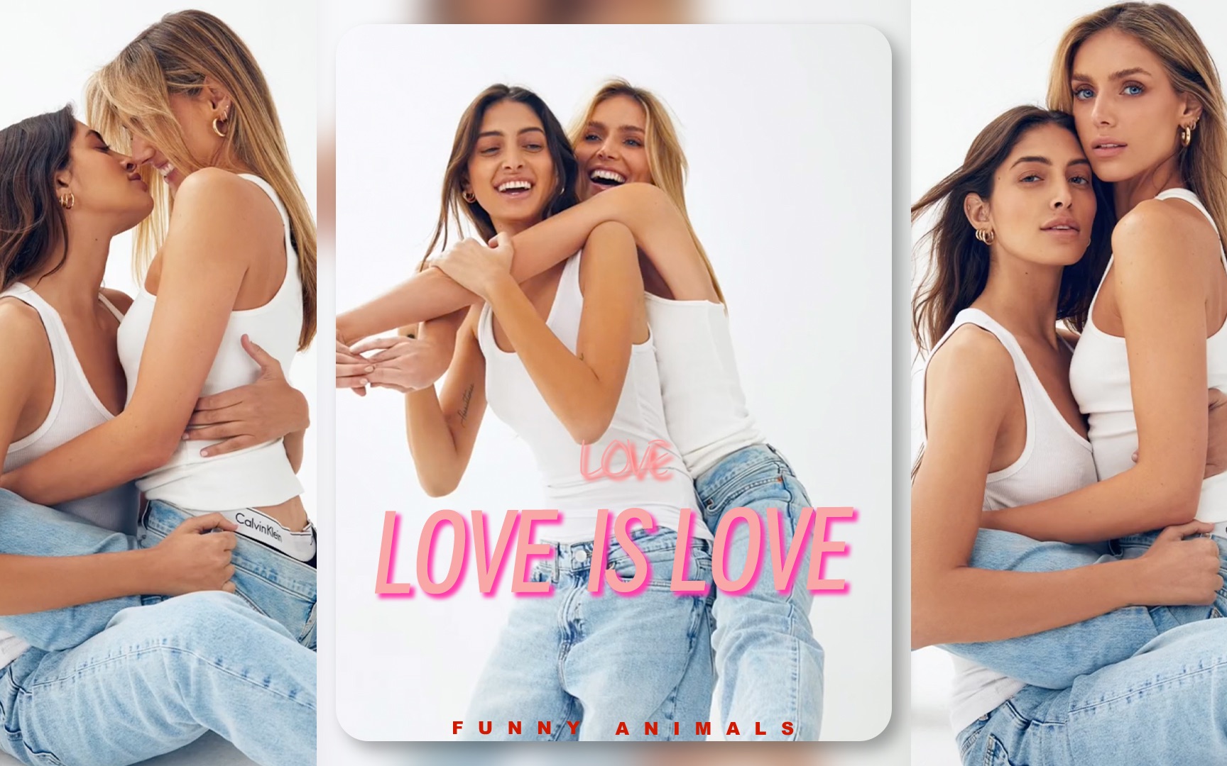 美人终是和美人在一起了🥹-FUNNY-ANIMALS-FUNNY-ANIMALS-哔哩哔哩视频