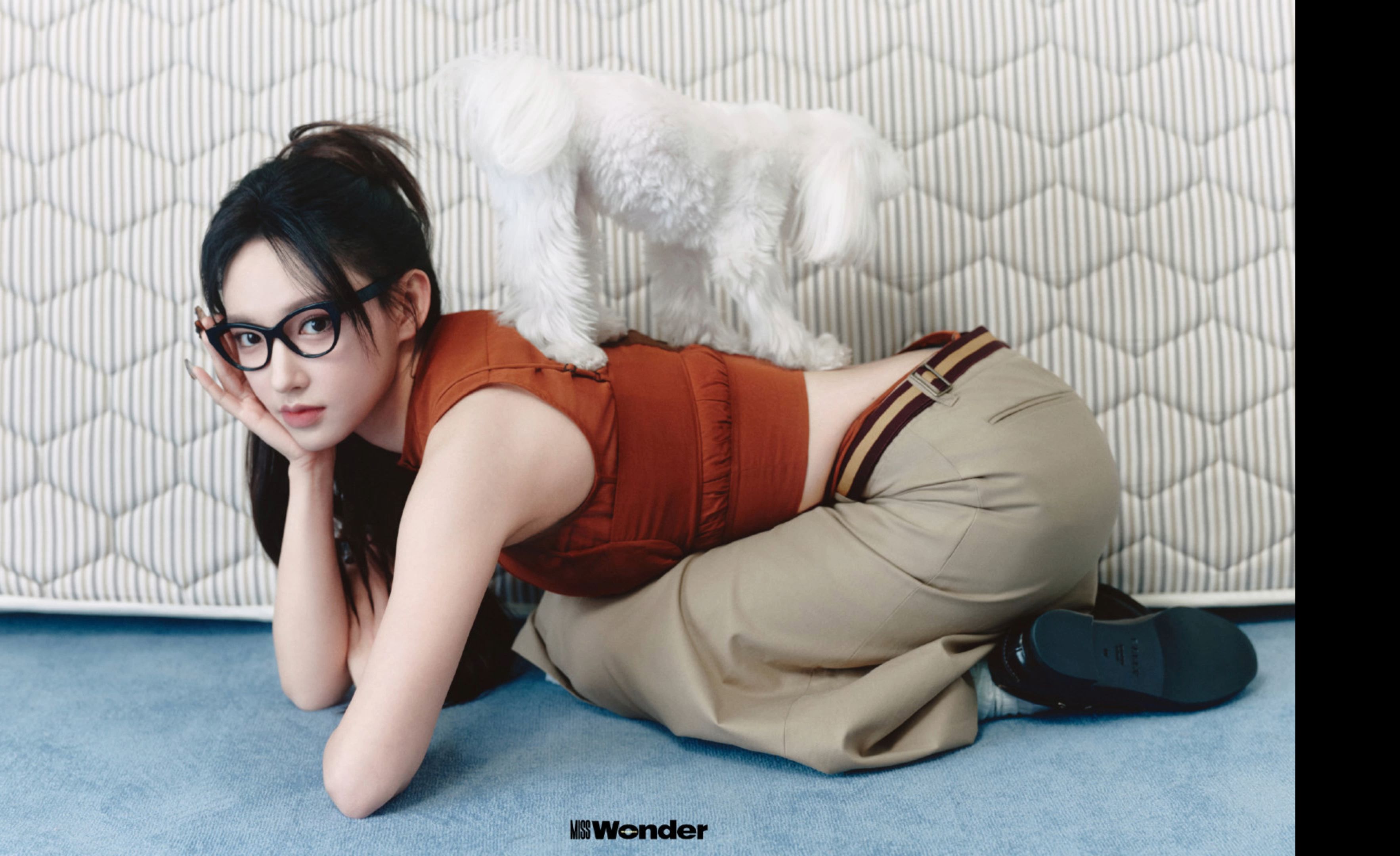 程潇老师解锁新姿势-bilibili(B站)无水印视频解析——6li6在线工具箱