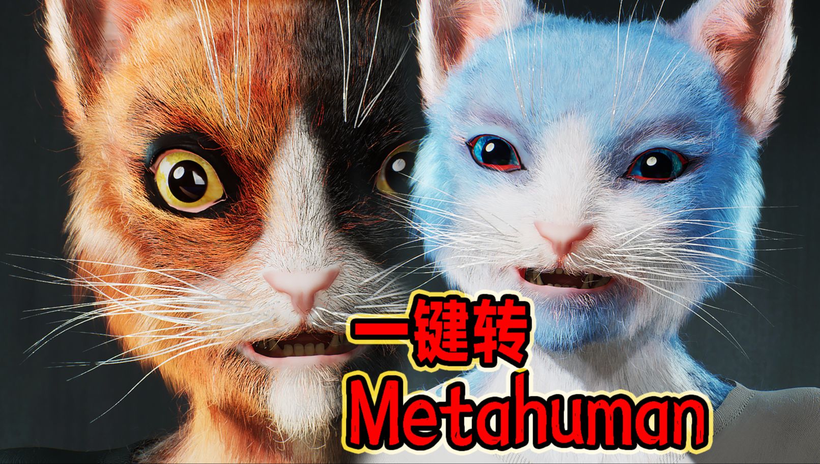猫人UE5实时渲染 任意模型转Metahuman角色 Dna 超写实数字人D-Rig for metahuman一键转换-D老师课堂-D老师课堂-哔哩哔哩视频