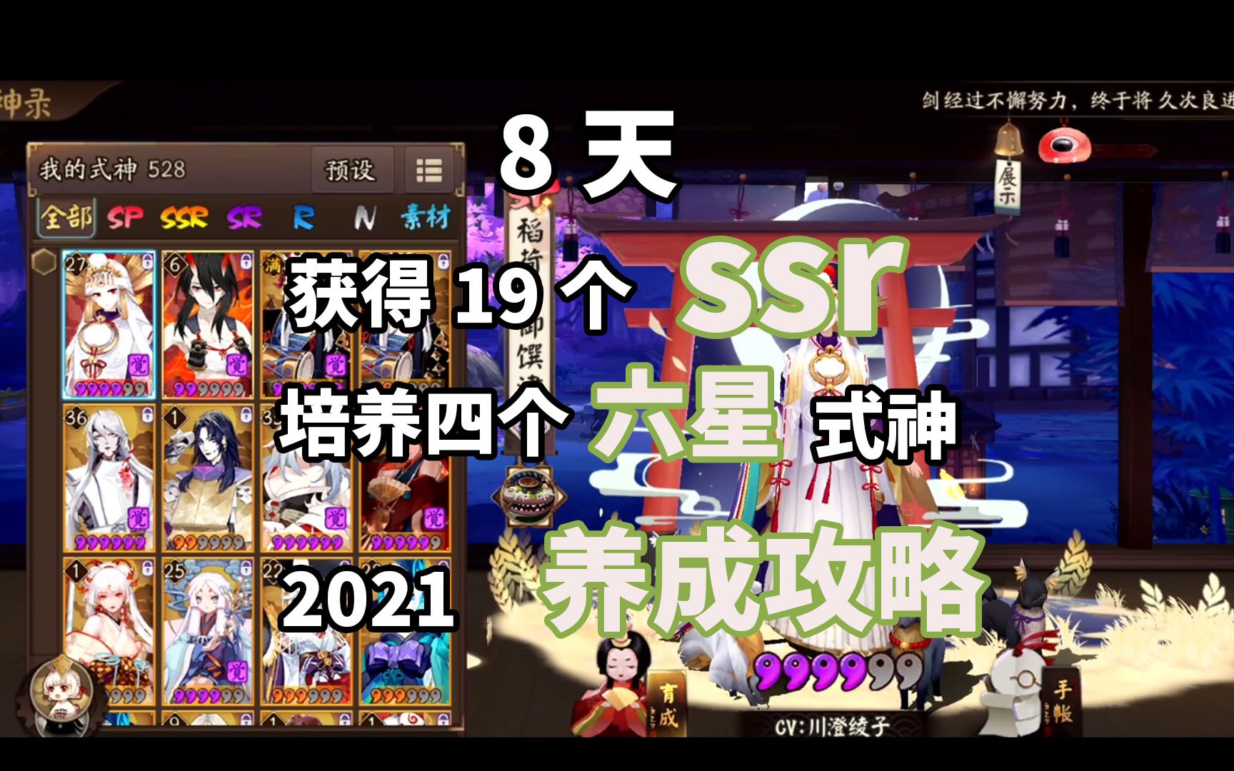 【阴阳师】2021最新“养成攻略”，开区8天19个SSR两个SP，4个六星式神_哔哩哔哩_bilibili