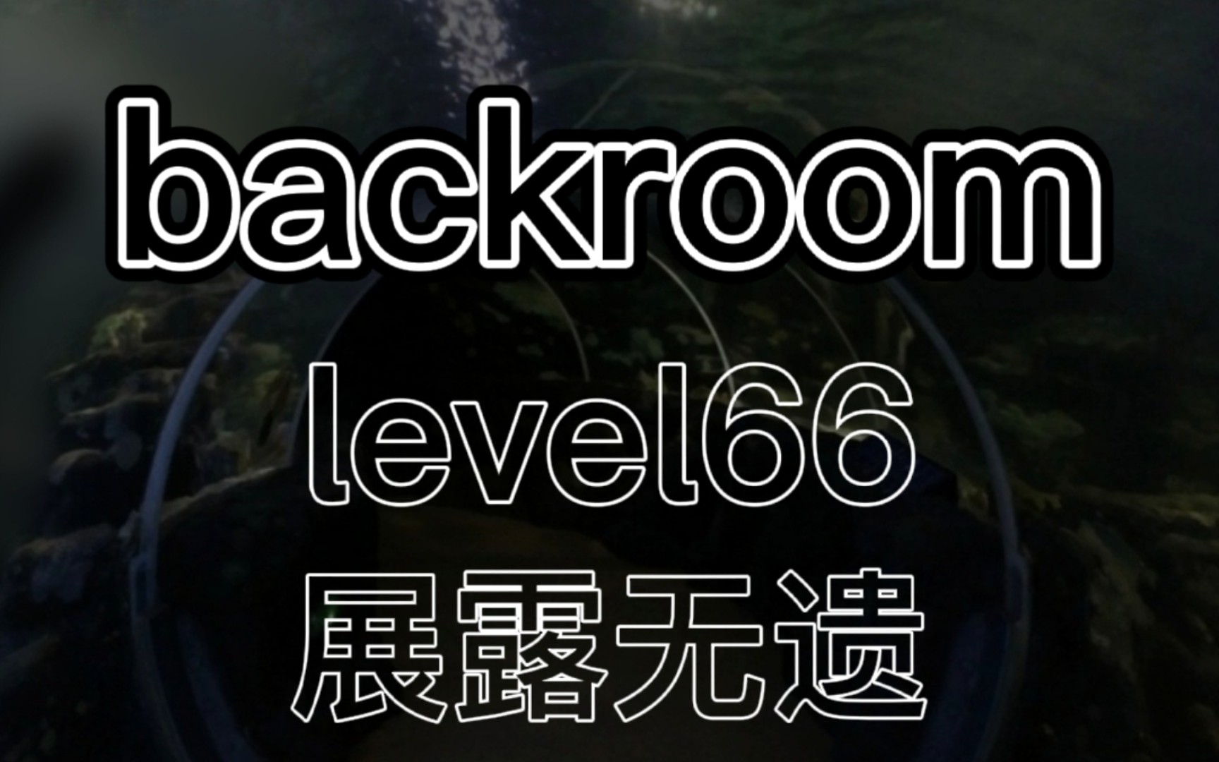 【backroom】level66-展露无遗。检查队员的行为是否异常，说话是否符合现实-后室探险家-后室探险家-哔哩哔哩视频