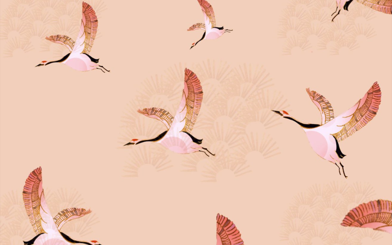 跟着MEspace空间学习用procreate画仙鹤_哔哩哔哩_bilibili