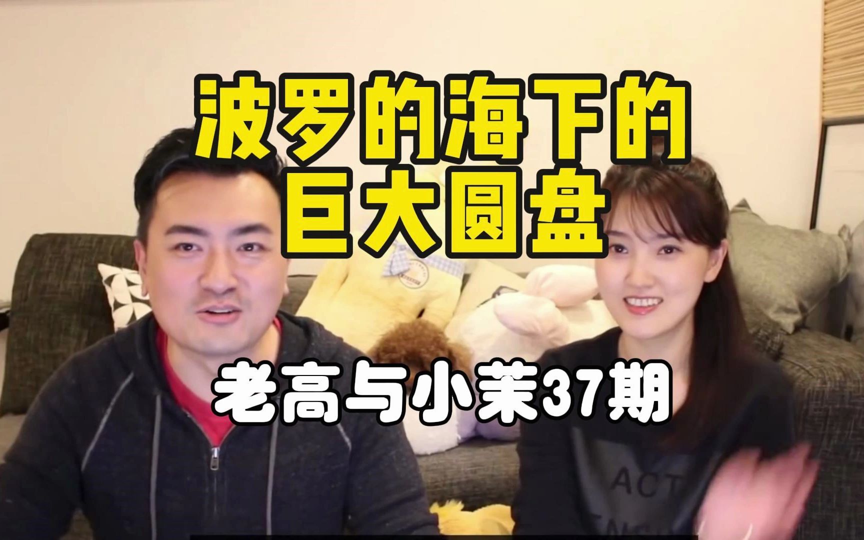 【老高与小茉37期】波罗的海下的巨大圆盘，它在这里已经14万年了！-老高与小茉MrGao-老高与小茉MrGao-哔哩哔哩视频