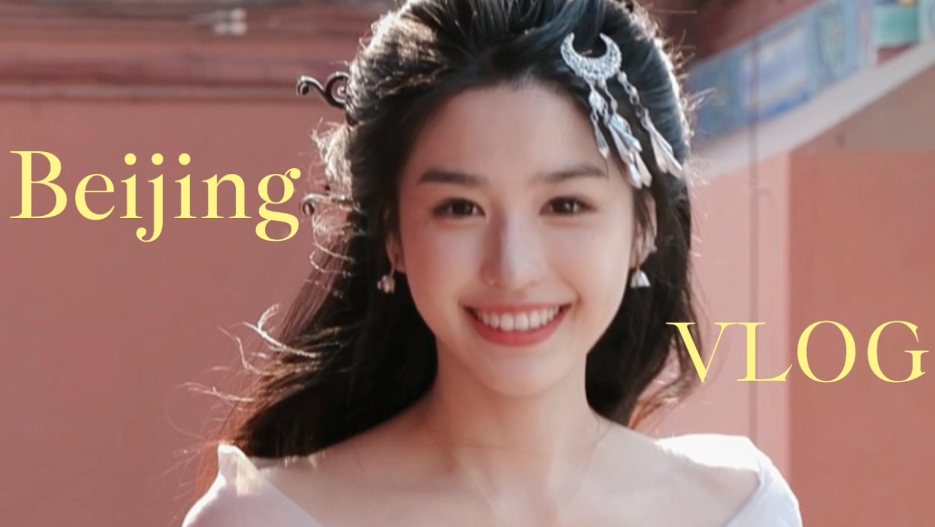 vlog.重返四年前之「故宫」！-王乔熙yx-王乔熙yx-哔哩哔哩视频