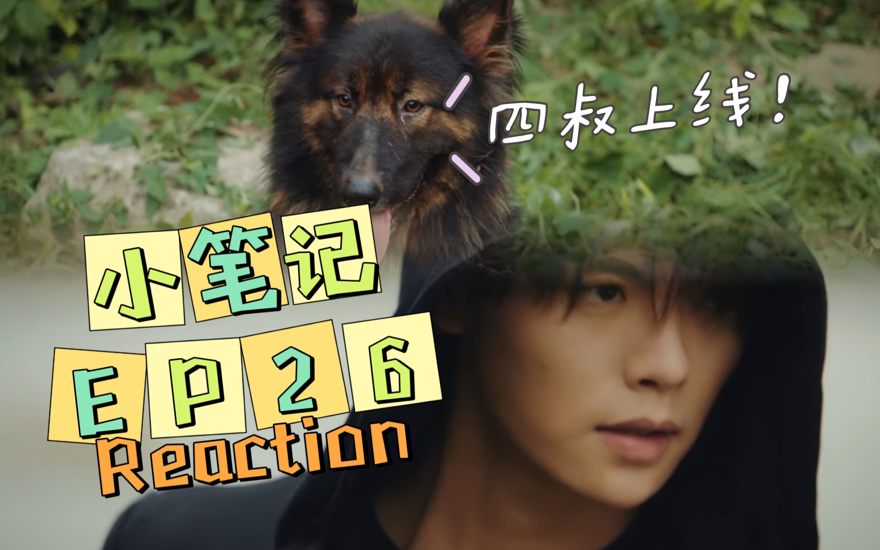 【REACTION】终极笔记EP26｜四叔上线！-张显阳Yoma_摸鱼版-张显阳Yoma_摸鱼版-哔哩哔哩视频