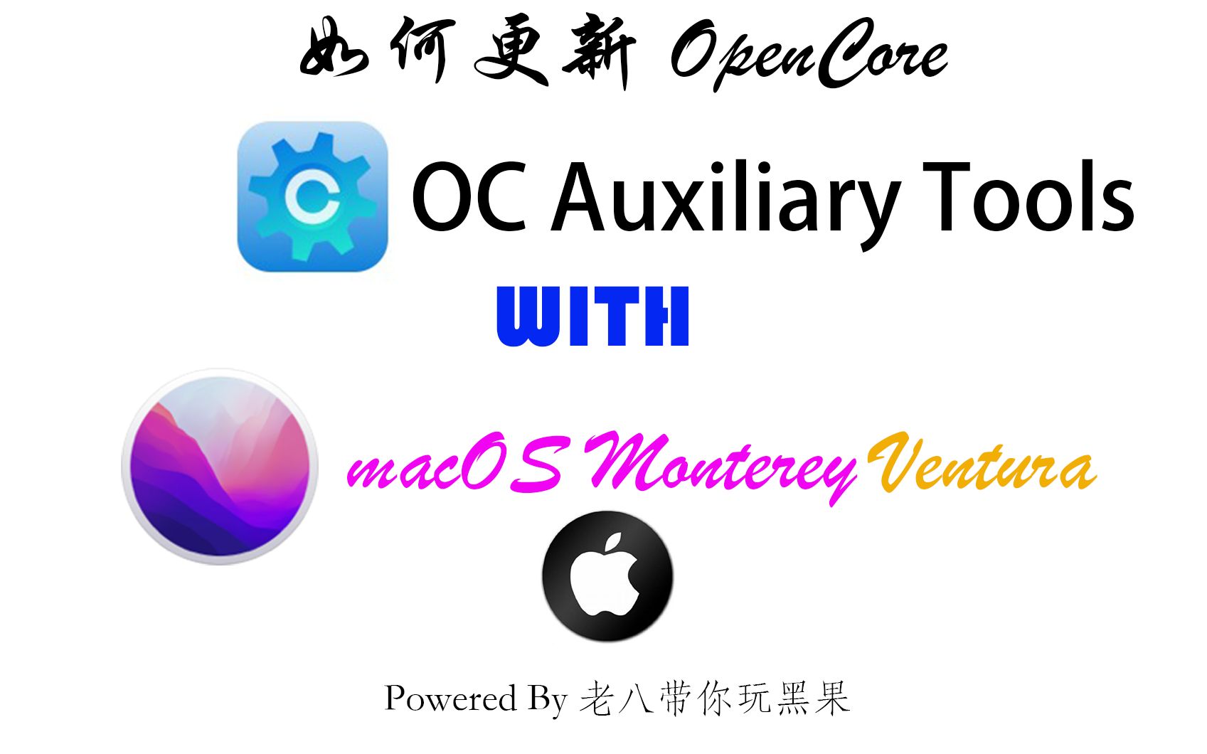 02.黑苹果如何更新EFI？OC太老怎么办？更新OC保姆级教学-OpenCore教你更新黑苹果oc，更新opencore的懒人打开方式_哔哩哔哩_bilibili