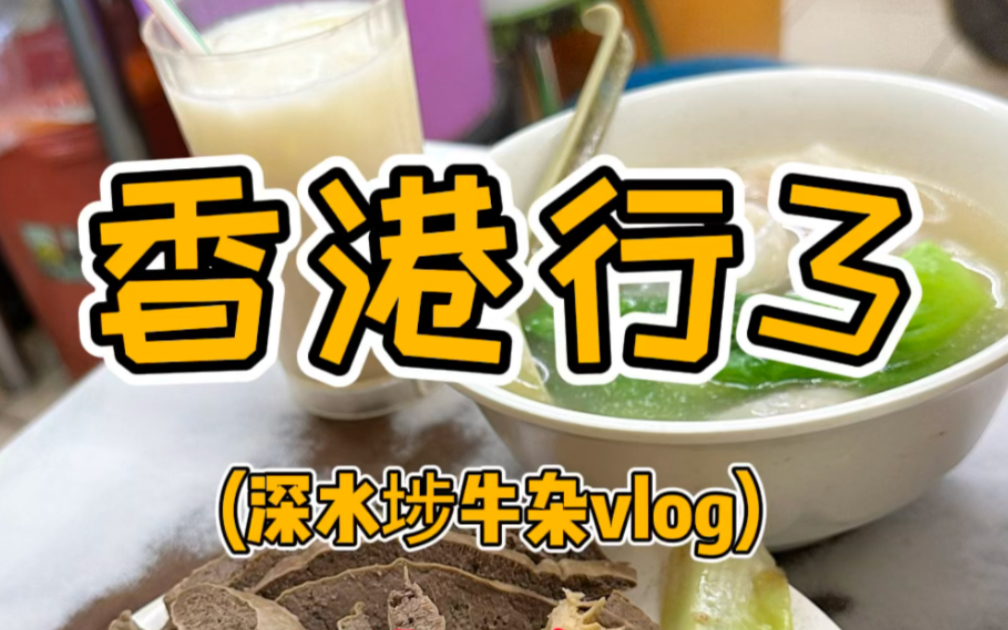 香港行3之明兴牛杂vlog 是alan不是啊兰 是alan不是啊兰 哔哩哔哩视频