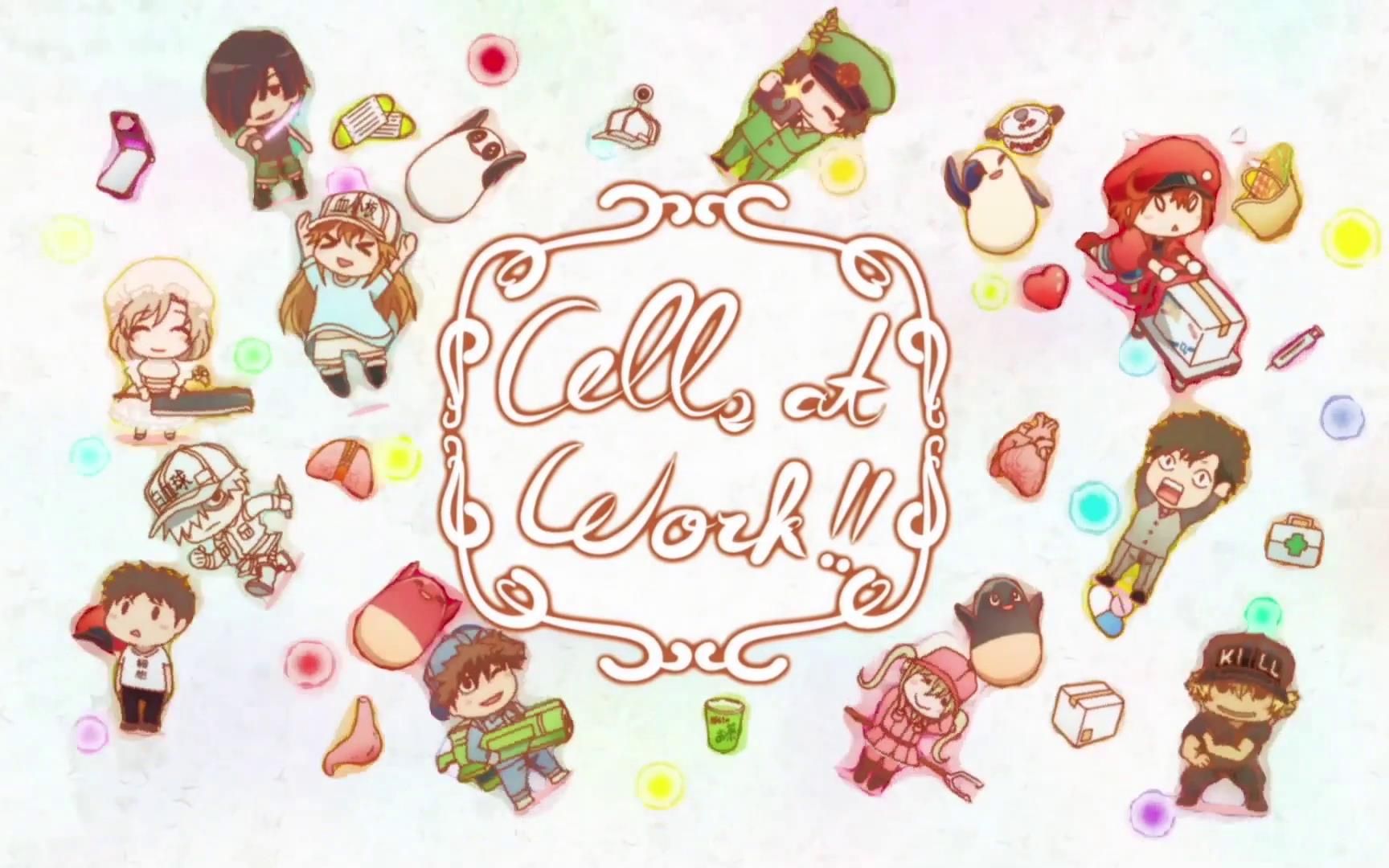 【1月】工作细胞 第二季 OP&ED TV size_哔哩哔哩_bilibili