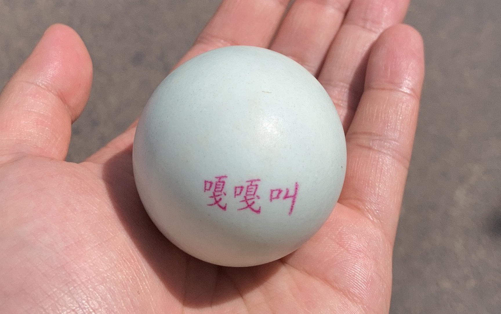 petrel re简单的运行流程，自学用。_哔哩哔哩_bilibili