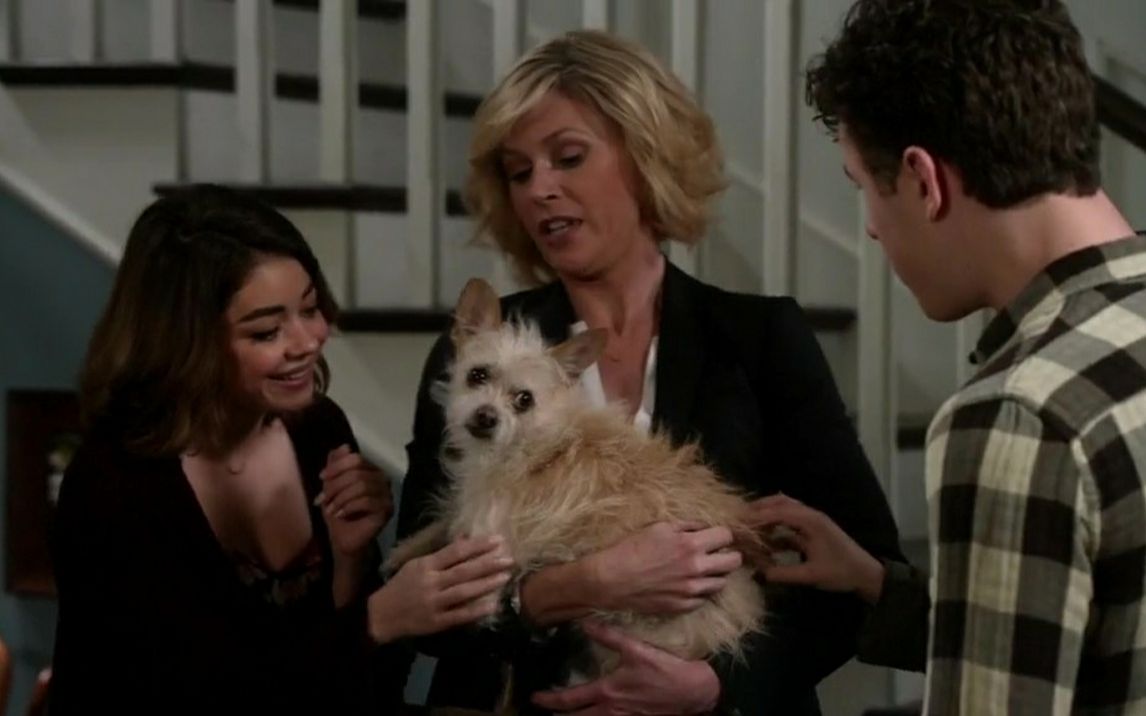 【MF】S7E19 一条狗引发的误会-New-King-New-King-哔哩哔哩视频