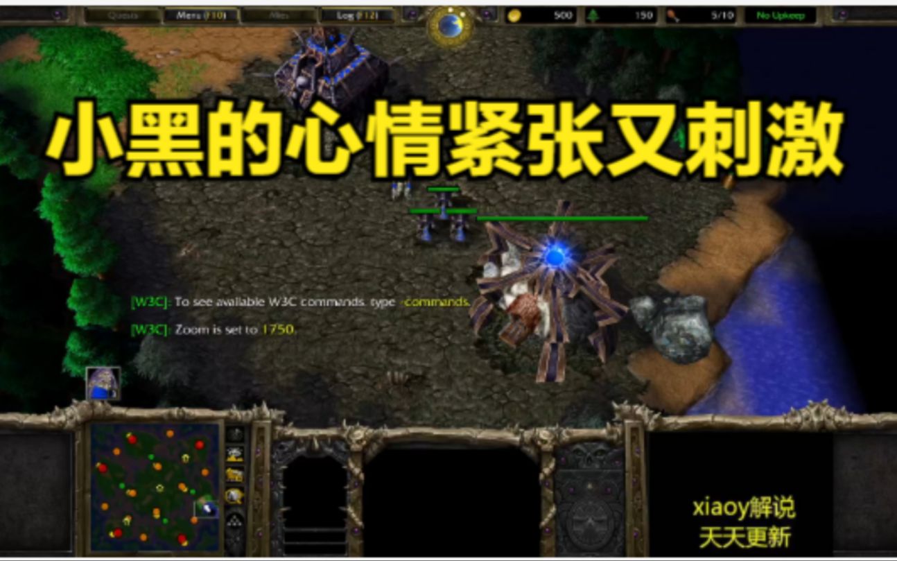 小黑的心情紧张又刺激 魔兽争霸xiaoy解说happy lyn-解说xiaoy-解说xiaoy-哔哩哔哩视频