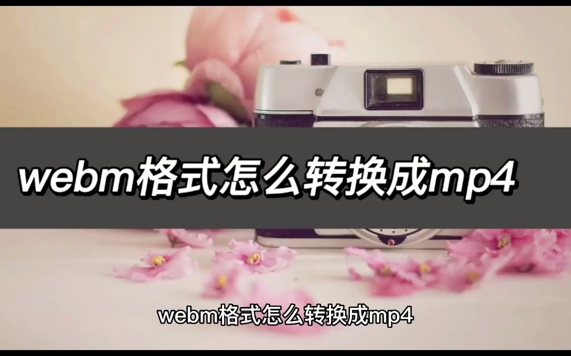 webm格式怎么转换成mp4，两种转换方法轻松搞定_哔哩哔哩_bilibili