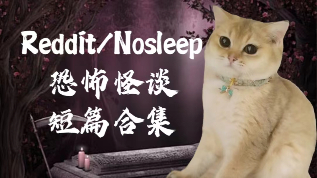 【14怪谈】Reddit-Nosleep五个短篇恐怖怪谈/都市传说/细思极恐小故事合集（《那不是雨》、《当死神来到酒吧》、《幻视》、《替代》、《死后》）-深夜的喵屋卧谈会-深夜的喵屋卧谈会-哔 ...