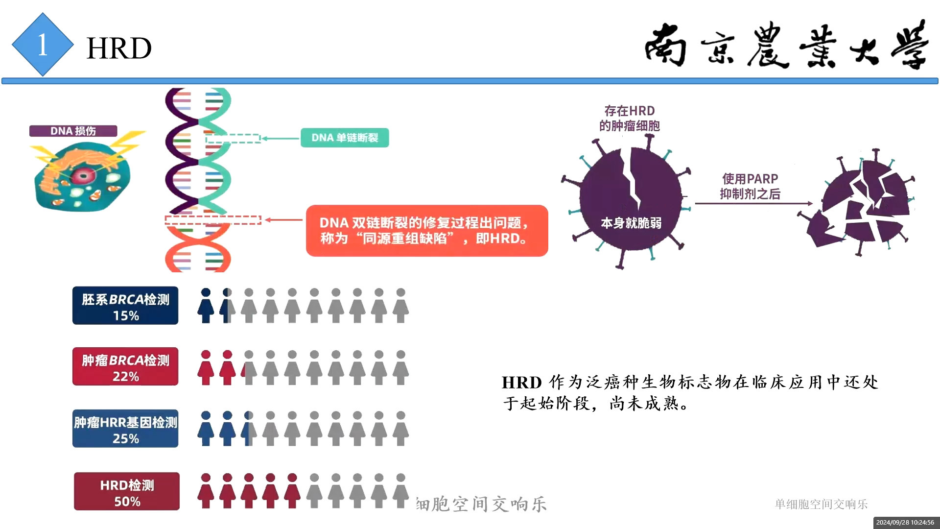 第六课（完结）：HRD + MRD-七夜听雪ii-七夜听雪ii-哔哩哔哩视频