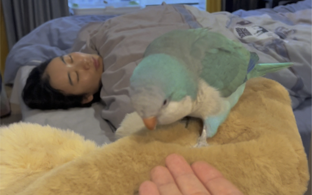 每次我吃点啥，胖胖就一直对着我唠叨-胖胖谷粒-胖胖谷粒-哔哩哔哩视频