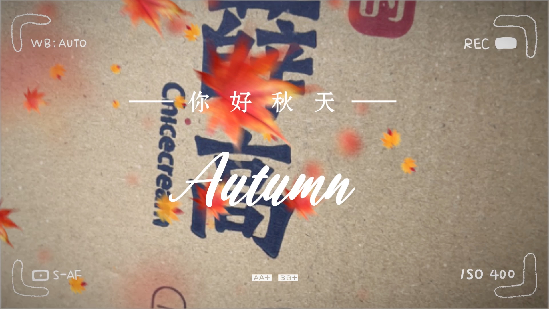 刺客哔哩哔哩bilibili