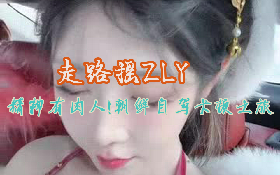 【走路摇ZLY】精神有肉人！朝鲜自驾卡顿之旅-bilibili(B站)无水印视频解析——6li6在线工具箱