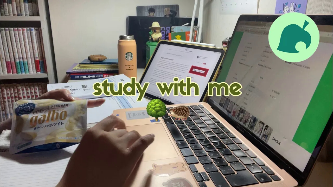 【Okisvlog】Study with me｜居家学习1h｜书桌前学习｜实时学习｜with animal crossing lofi-可樂樂要加冰-可樂樂要加冰-哔哩哔哩视频