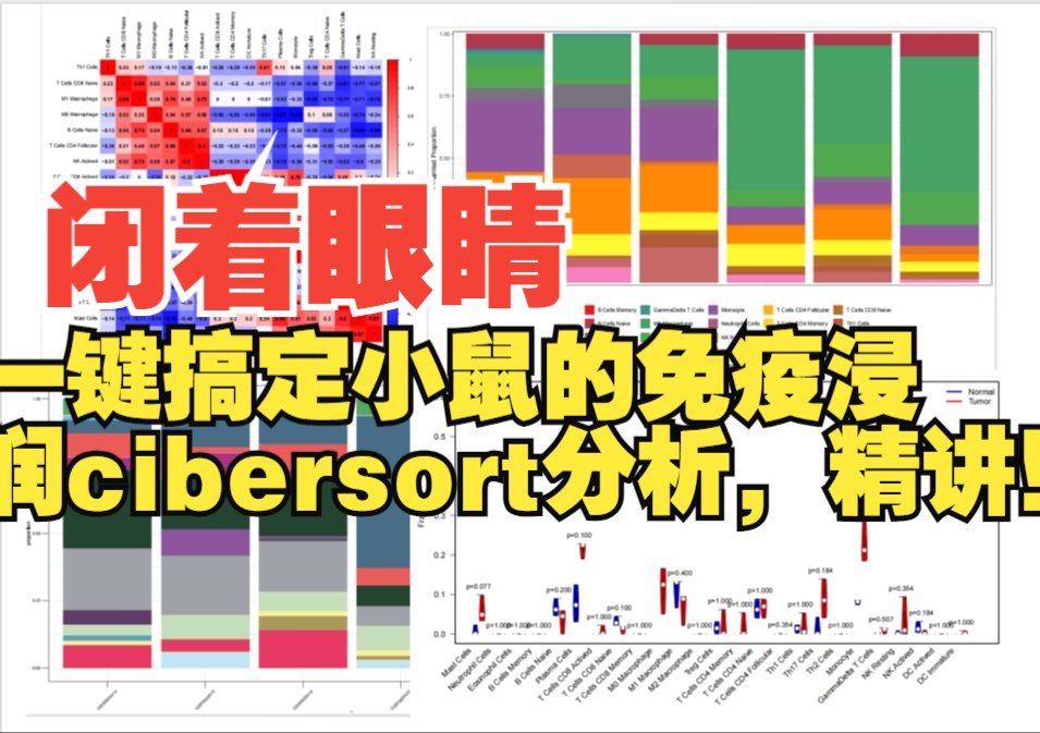 28(附代码)生信必学精讲，基于小鼠的cibersort免疫浸润分析讲解分享，一键出图！！！-不太会生信哥-不太会生信哥-哔哩哔哩视频