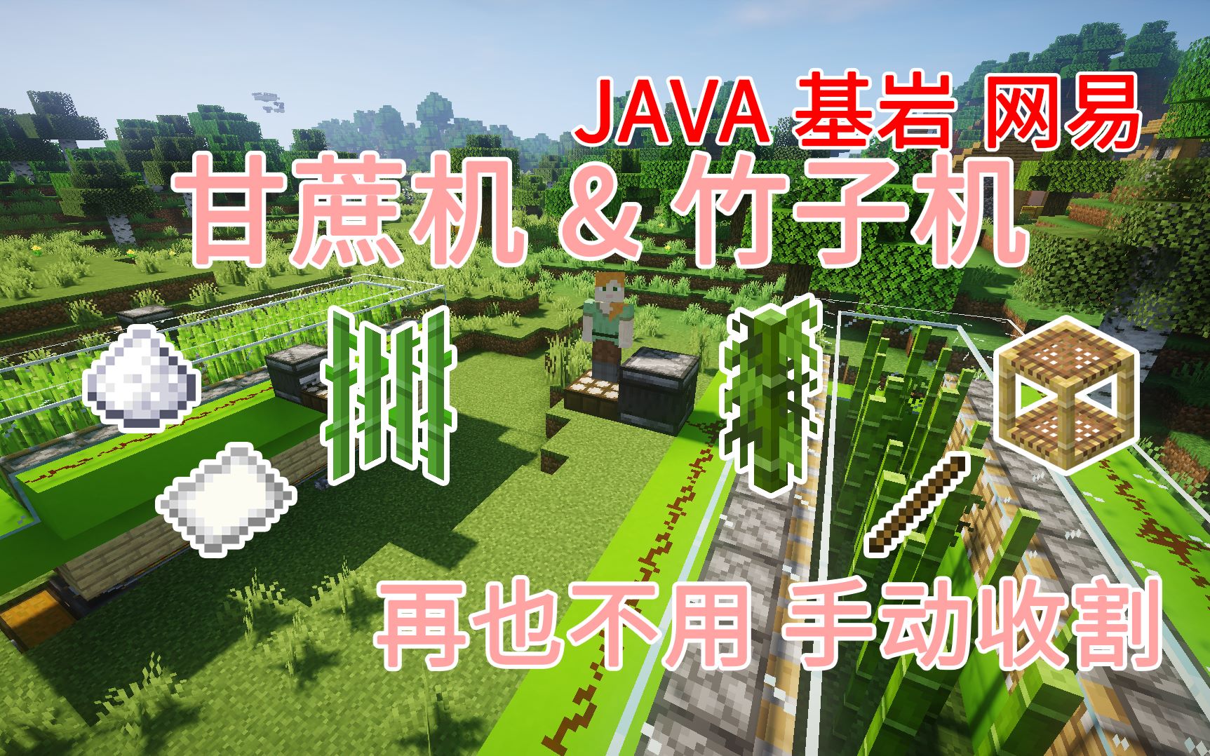 【全自动竹子机&甘蔗机】节节高 JAVA基岩通用 Minecraft我的世界前期生存必备的机器——第六期_哔哩哔哩_bilibili