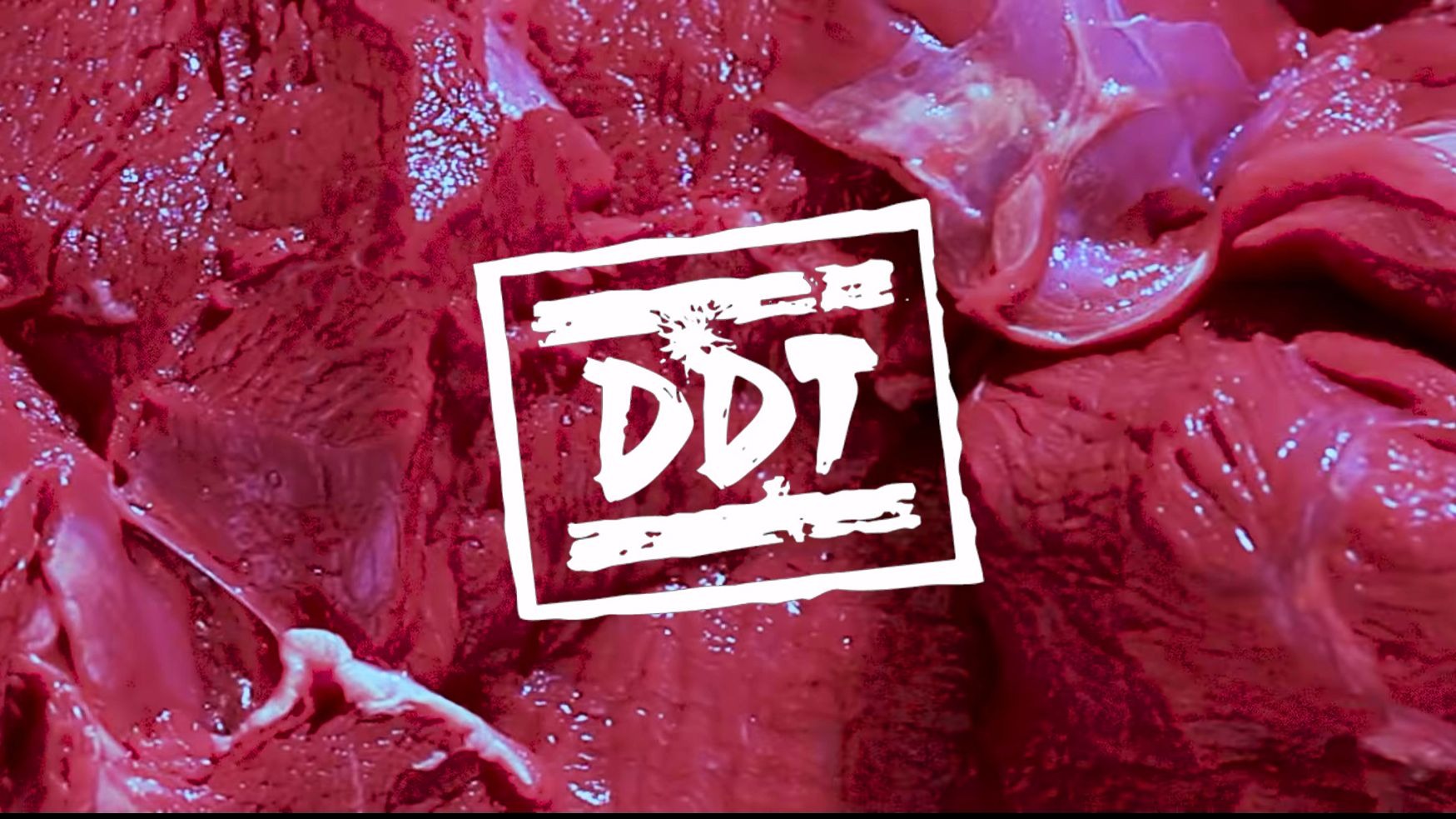 【俄罗斯摇滚】ДДТ - 你是谁？/Кто ты? Live in Essen 2013-雪虞Arth-DDT-哔哩哔哩视频