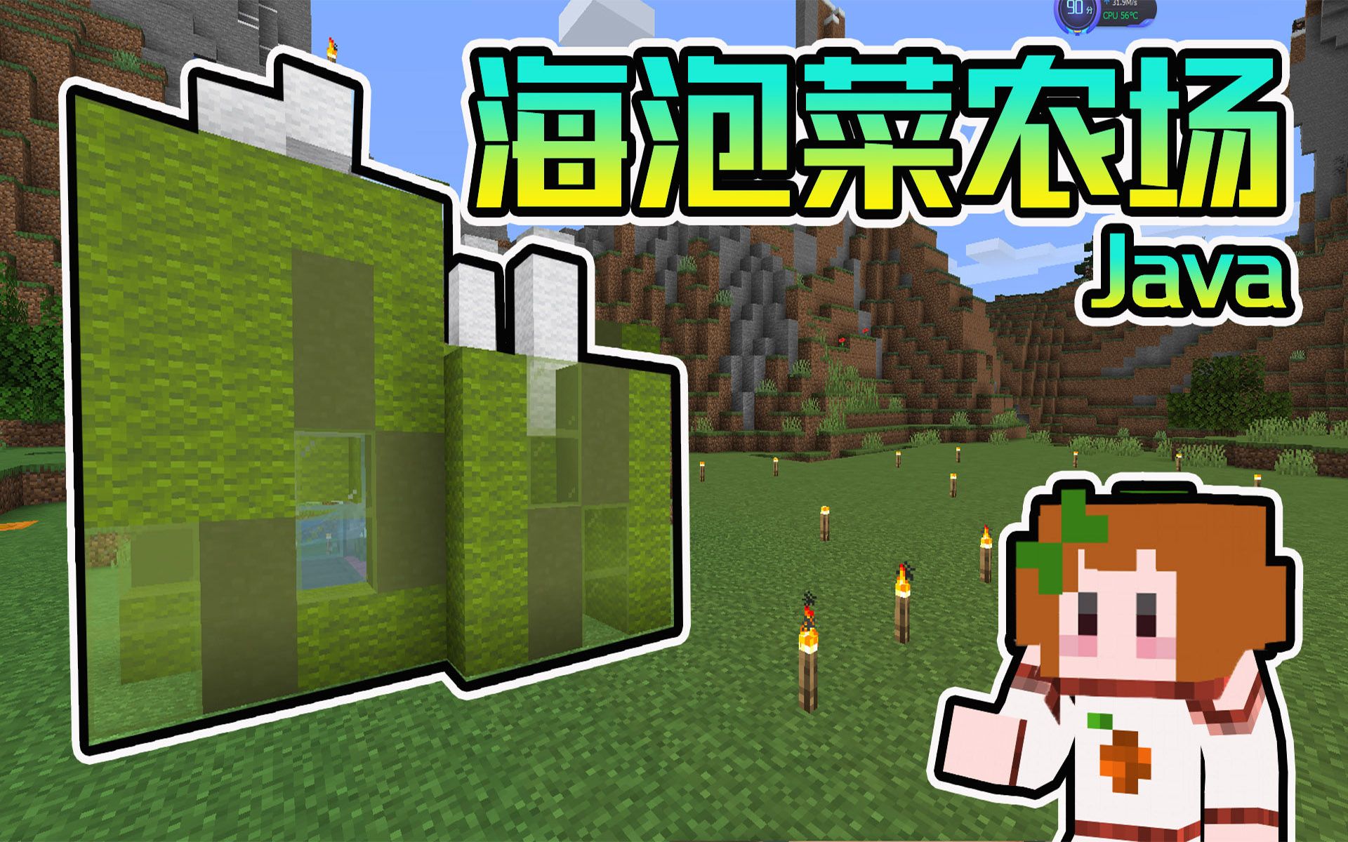 【Minecraft】原味生存48集:Java海泡菜农场，海鞘农场，寻找珊瑚礁【我的世界】Java1.16.4_哔哩哔哩_bilibili