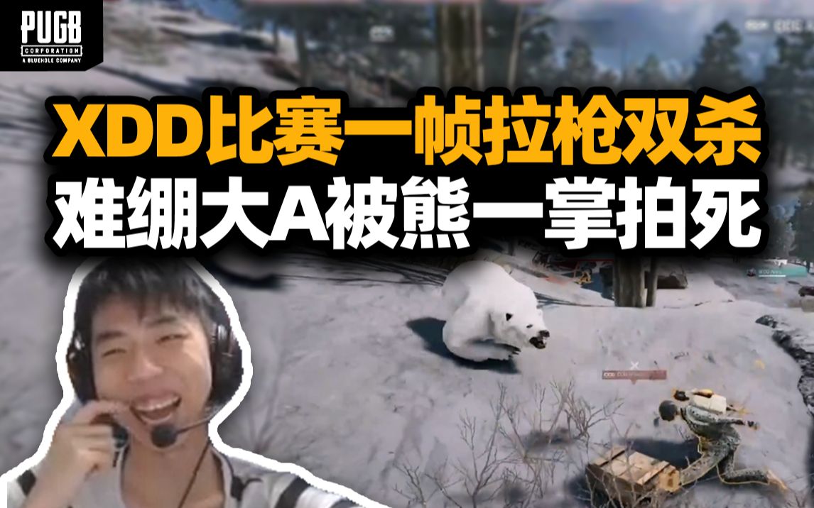 BOSS杯XDD一帧拉枪双杀极限本能反应！难绷大A老师被熊一掌拍死 排位落地10杀自雷主打高效！-小叮当频道-小叮当频道-哔哩哔哩视频