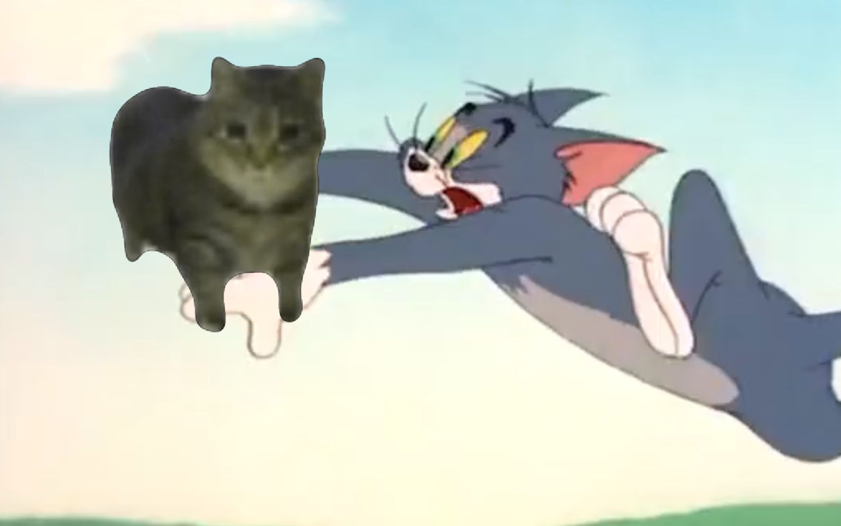 ⚡oiiaioooooiai，但是开盲盒⚡ 蟹蟹繁繁 蟹蟹繁繁 哔哩哔哩视频