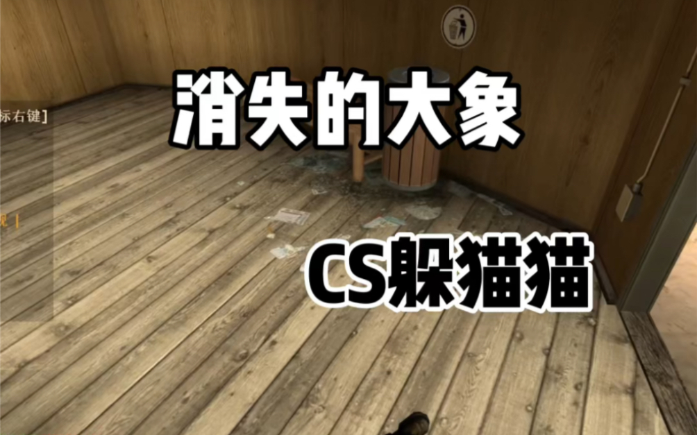 CSGO躲猫猫：是不是让狮子吃了！-禹辰OvO-禹辰OvO-哔哩哔哩视频